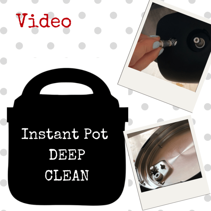 Instant Pot Deep Clean - Feisty Tapas